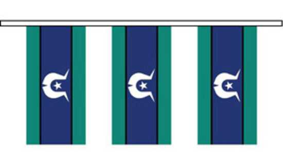 Torres Strait Islander (TSI) Flag Bunting – Flagpole World